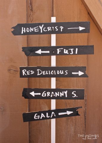 Rustic Wheelbarrow Turned Charming Apple Cart - The Homes I Have Made