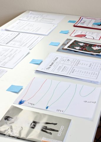 How to Organize Paperwork | Part 2: The Process - The Homes I Have Made