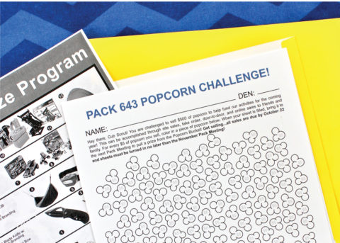 Cub Scout Popcorn Projects (To Help You Sell More Popcorn!) - The Homes ...