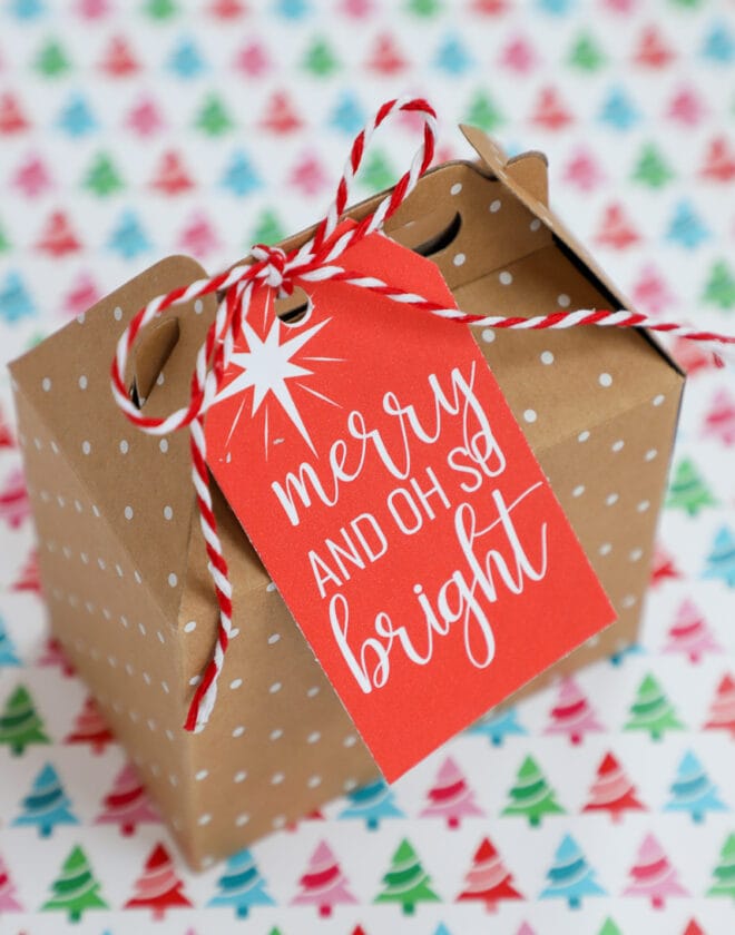 DIY Gift Card Holders (with Printable Template!) - The Homes I Have Made