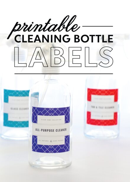 Printable Cleaning Labels for the Home & Laundry Room - The Homes I ...
