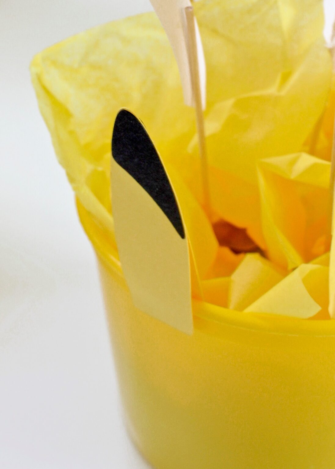 Easy DIY Pokémon Birthday Party Ideas - The Homes I Have Made