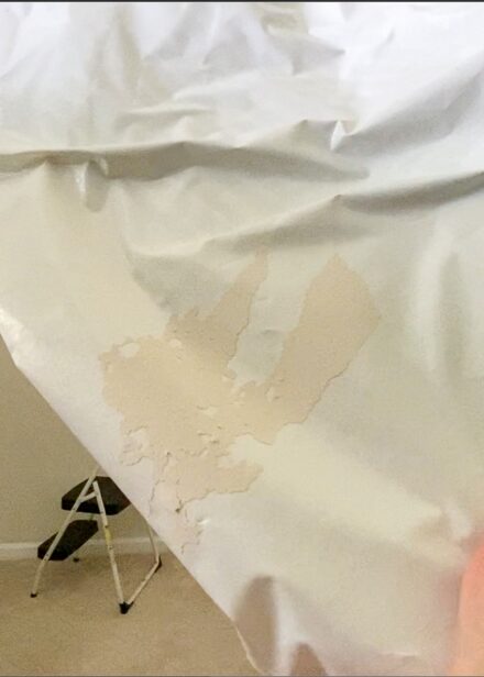 Does Peel and Stick Wallpaper Damage Walls? - The Homes I Have Made