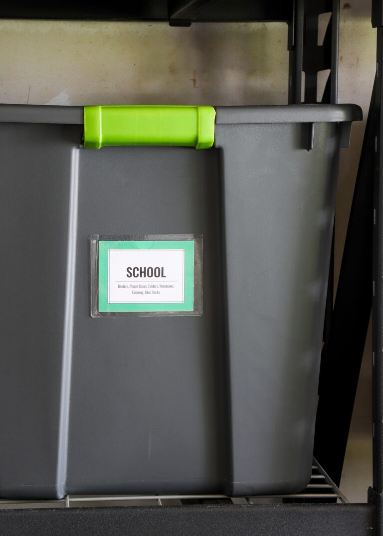 The Easiest Way to Label Your Storage Bins (With Template!) - The Homes ...