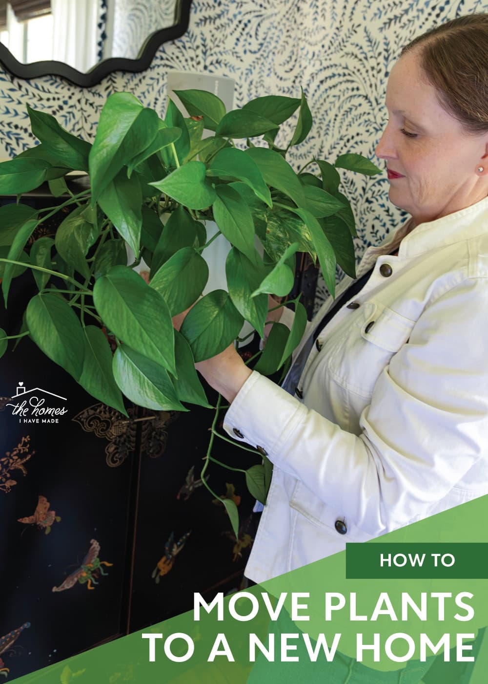 What To Do With Plants When You Move | A Practical Guide - The Homes I ...